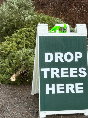 Treecycling - Resource Renew